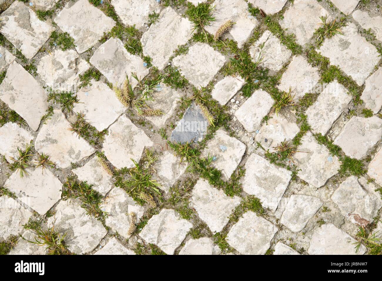 Floor of a street with stone tiles Stock Photo - Alamy