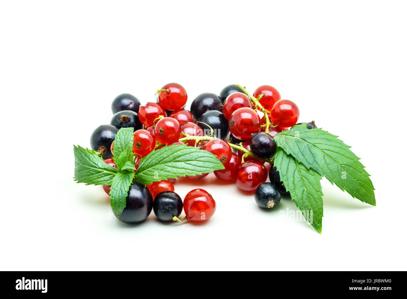Black and Red Currants isolated on white background Stock Photo - Alamy
