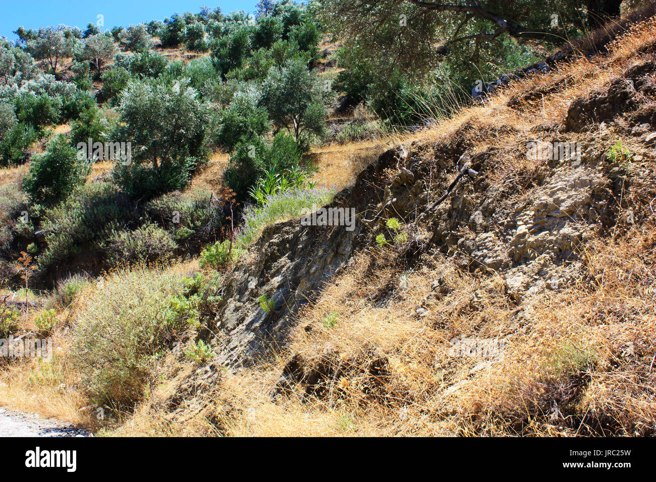 Cretan wild sea coastline and countryside Stock Photo - Alamy