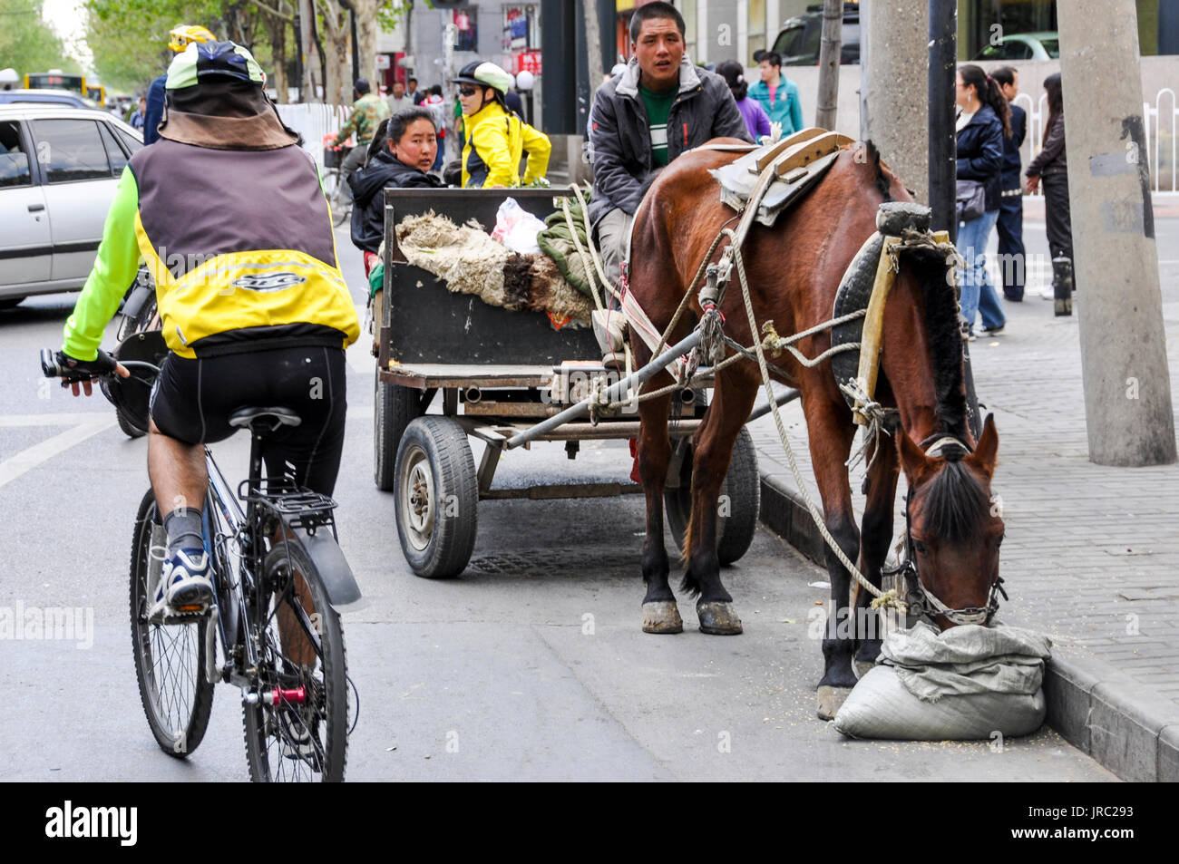 Stark contrast hi-res stock photography and images - Alamy