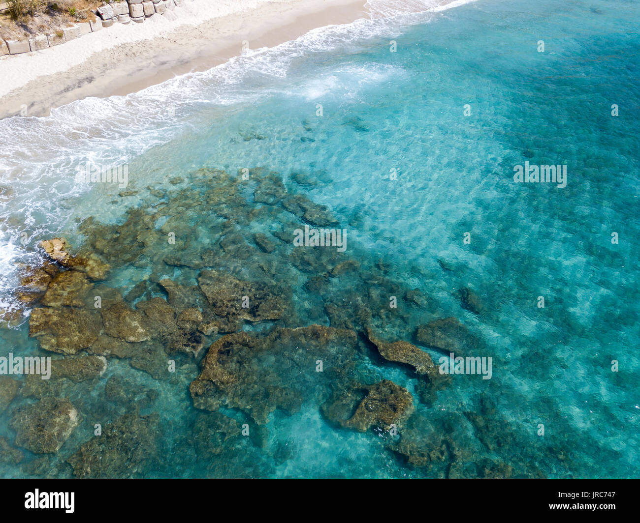 Coral seen from below hi-res stock photography and images - Alamy