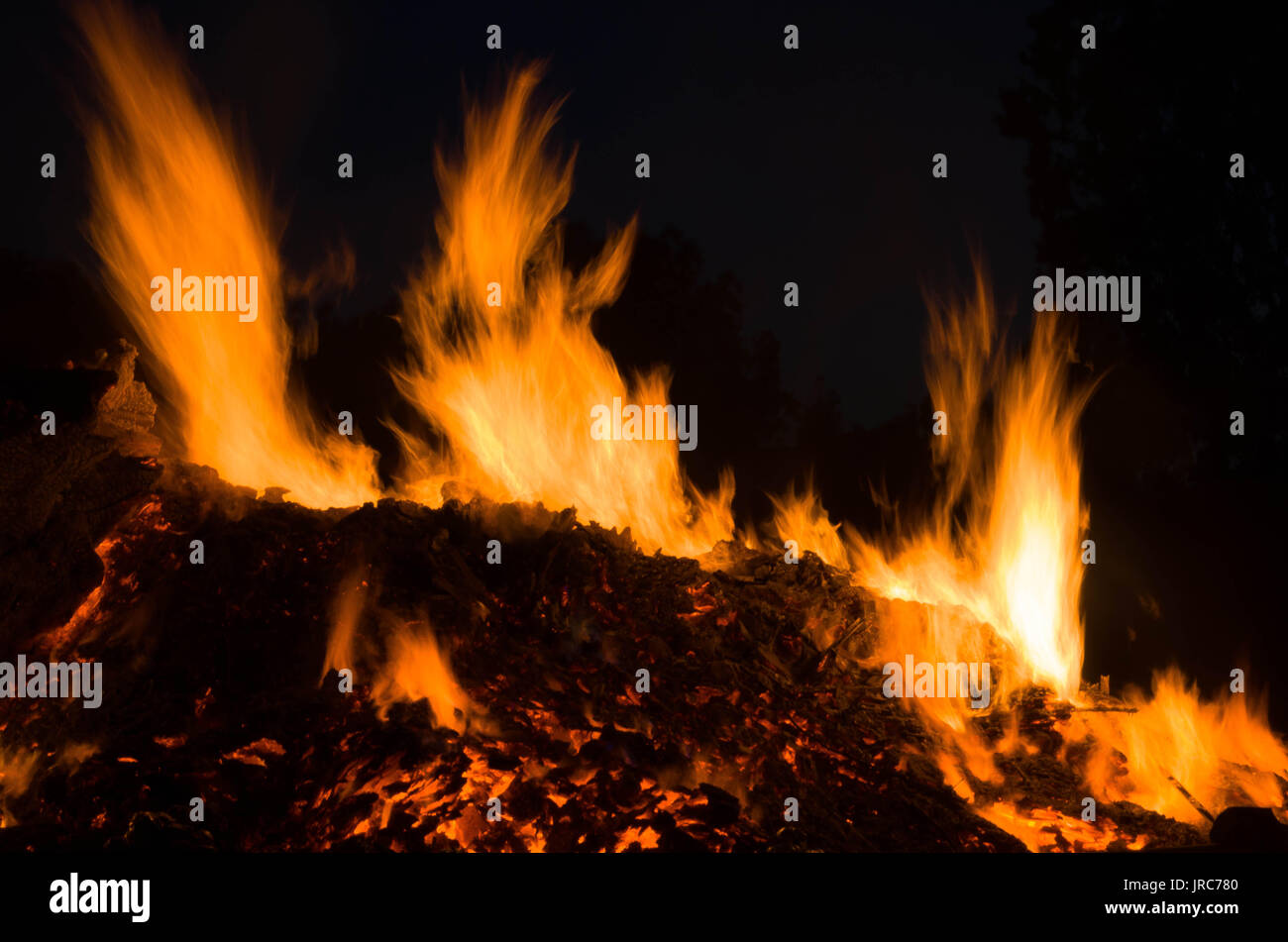 Camfire hi-res stock photography and images - Alamy