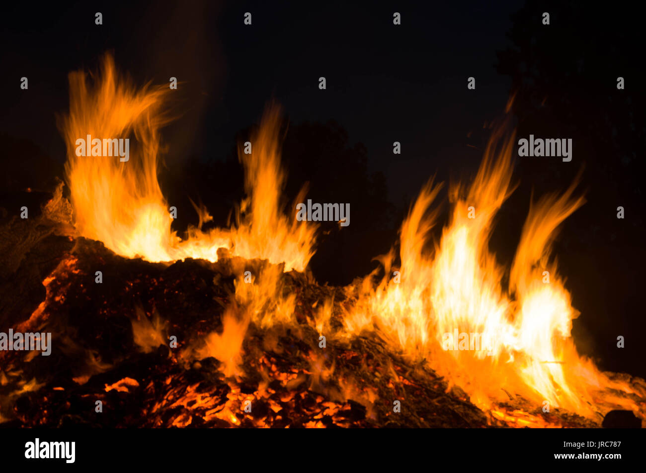 camfire flams closeup traveling cam fire. campfire render Stock Photo ...