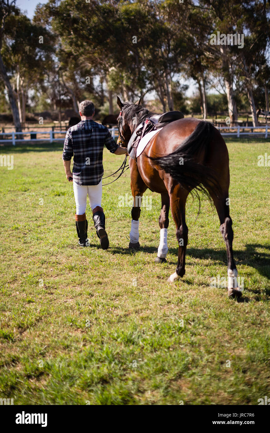Man walking with horse in the ranch on a sunny day Stock Photo - Alamy