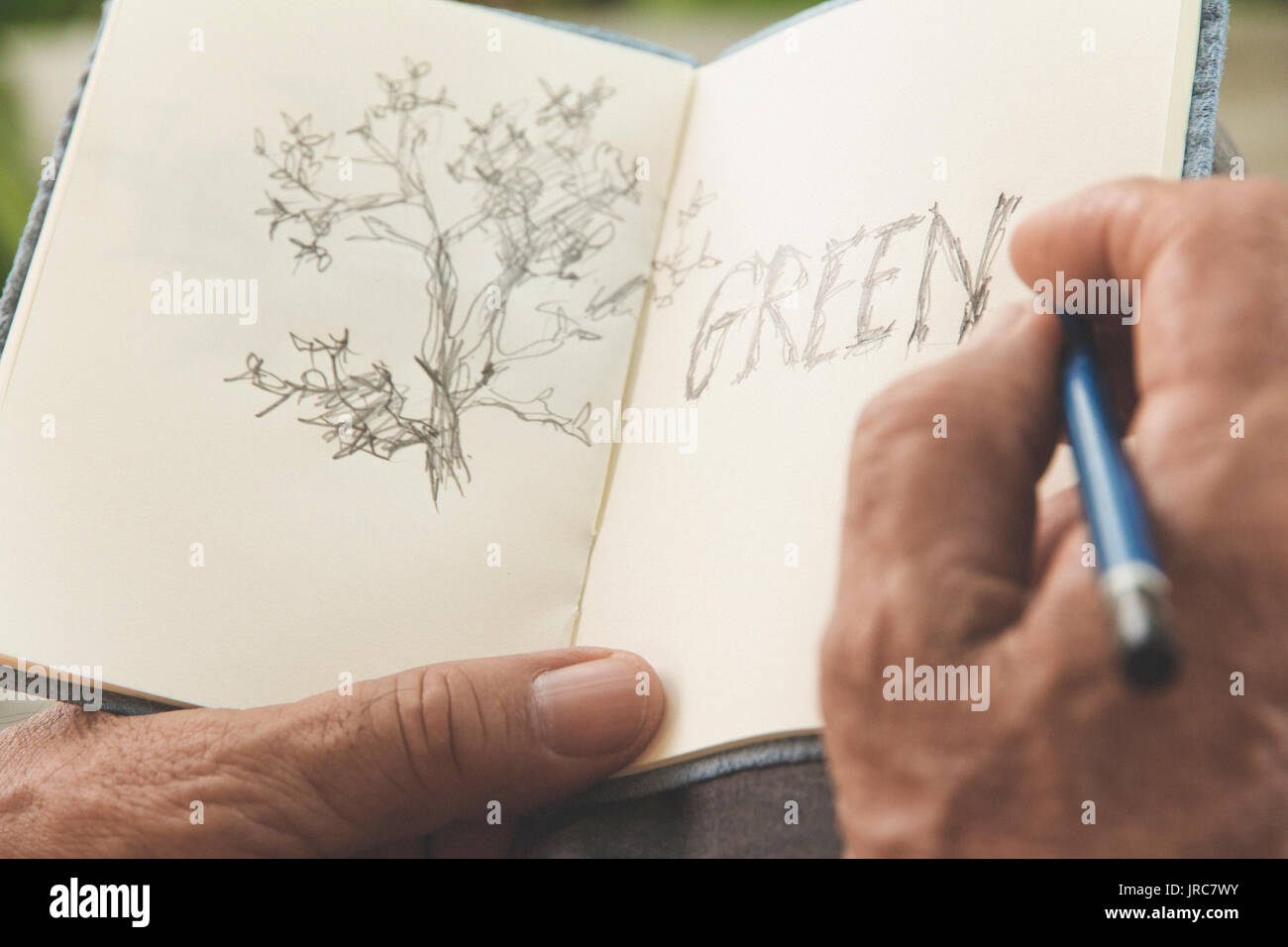 man writing a tree on sketchbook,Environment Conservative concept Stock ...
