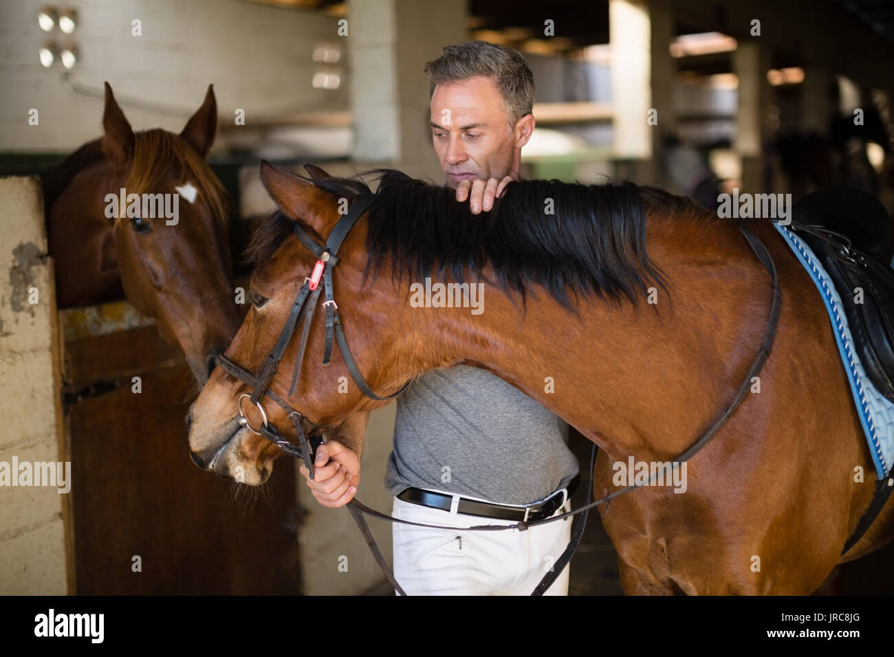 Man standing with brown horse in the stable Stock Photo - Alamy