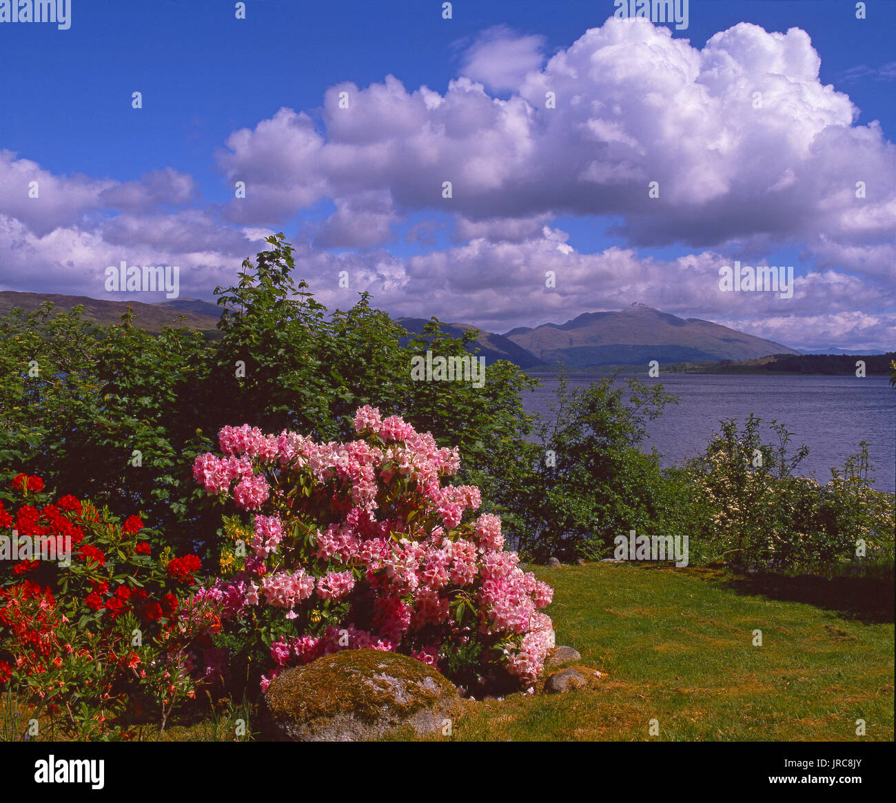 Magnificent spring view of Loch Etive and Ben Cruachan from the shore ...
