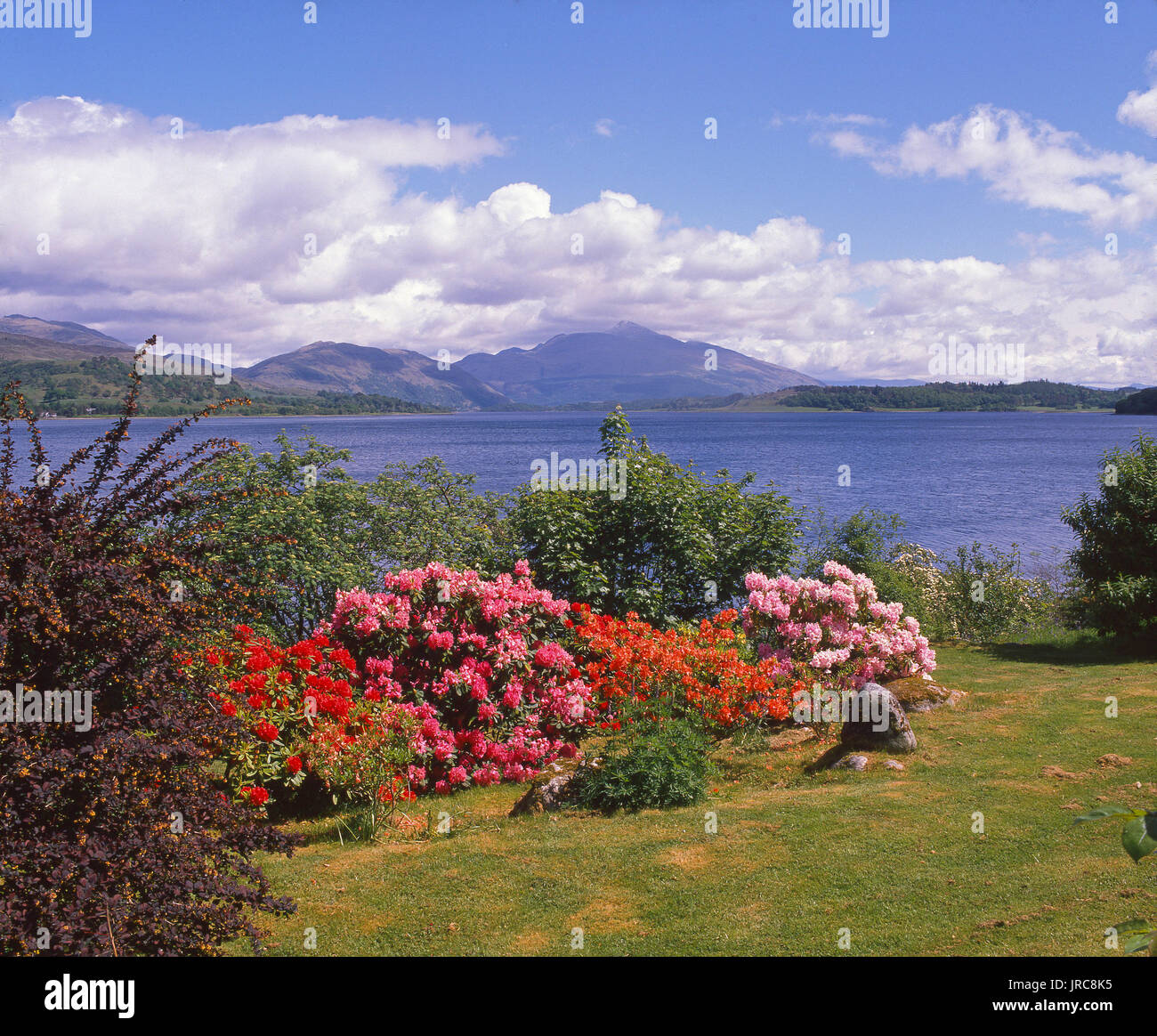 Magnificent spring view towards Loch Etive and Ben Cruachan from the ...