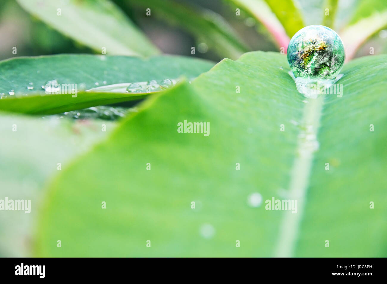 abstract image of small world in nature, Environment Conservative ...