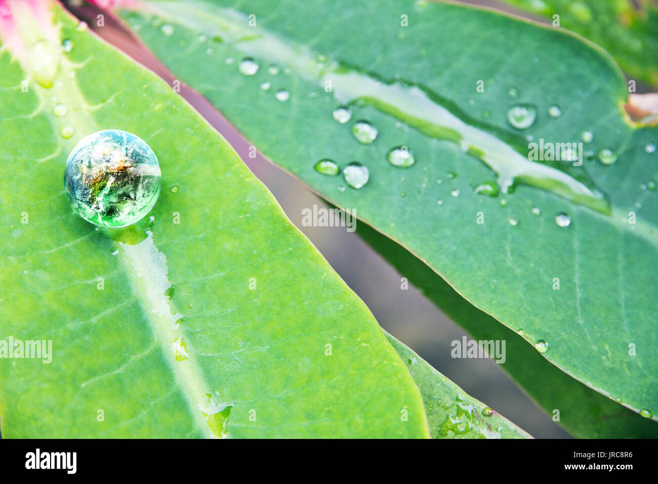 abstract image of small world in nature, Environment Conservative ...