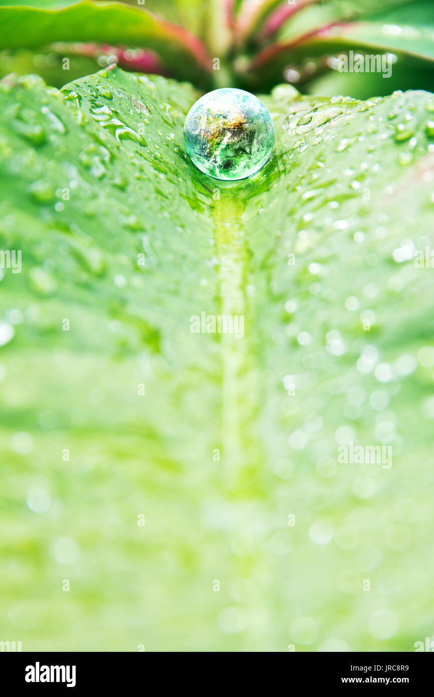 abstract image of small world in nature, Environment Conservative ...