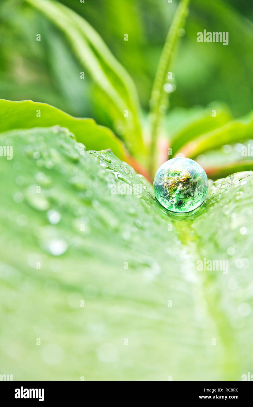 abstract image of small world in nature, Environment Conservative ...
