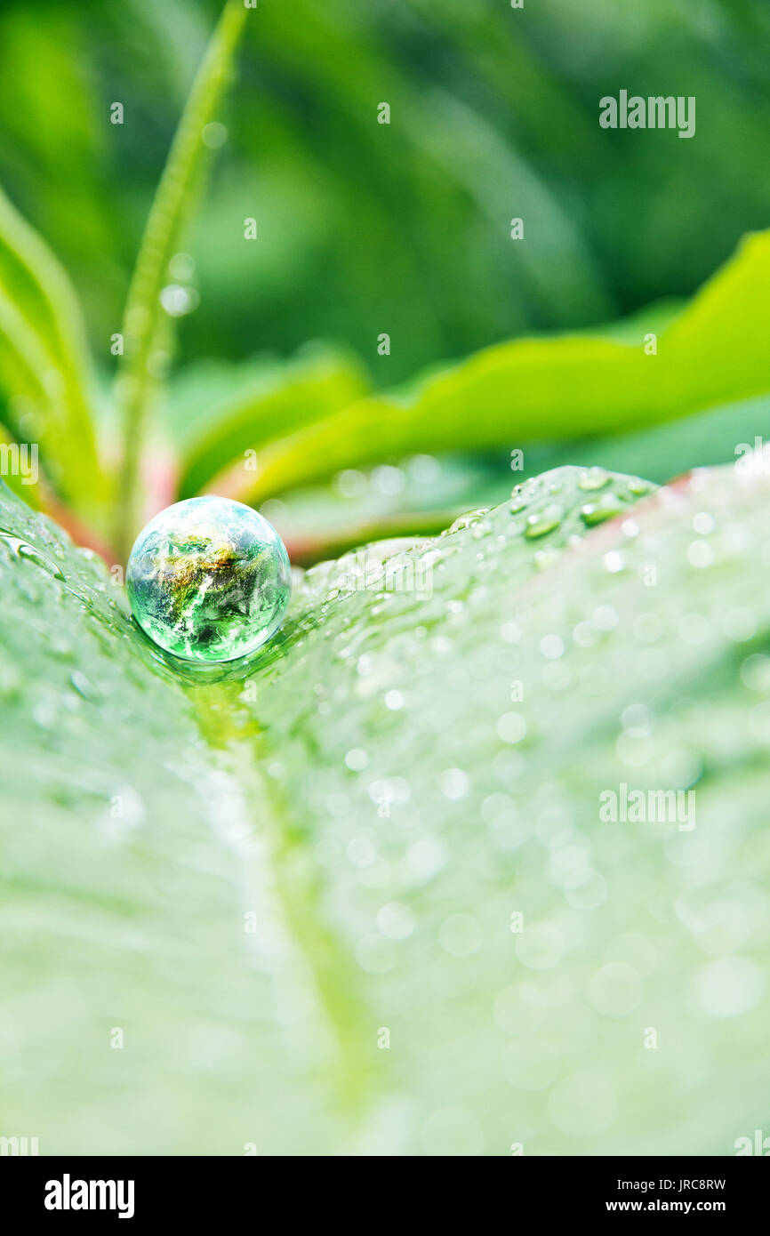 abstract image of small world in nature, Environment Conservative ...