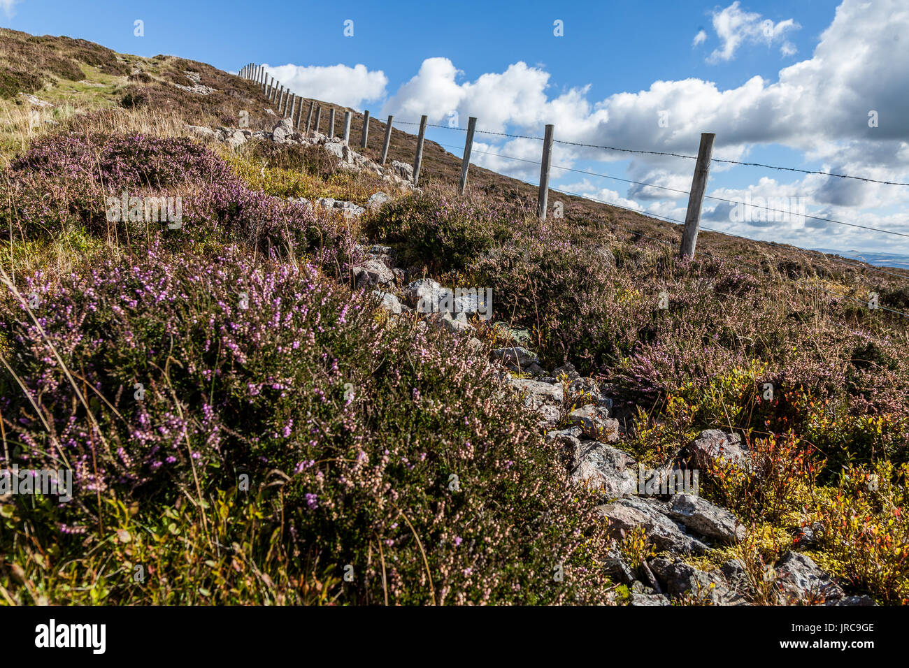 rocky pathway in the Pentland Hills Scotland Stock Photo - Alamy