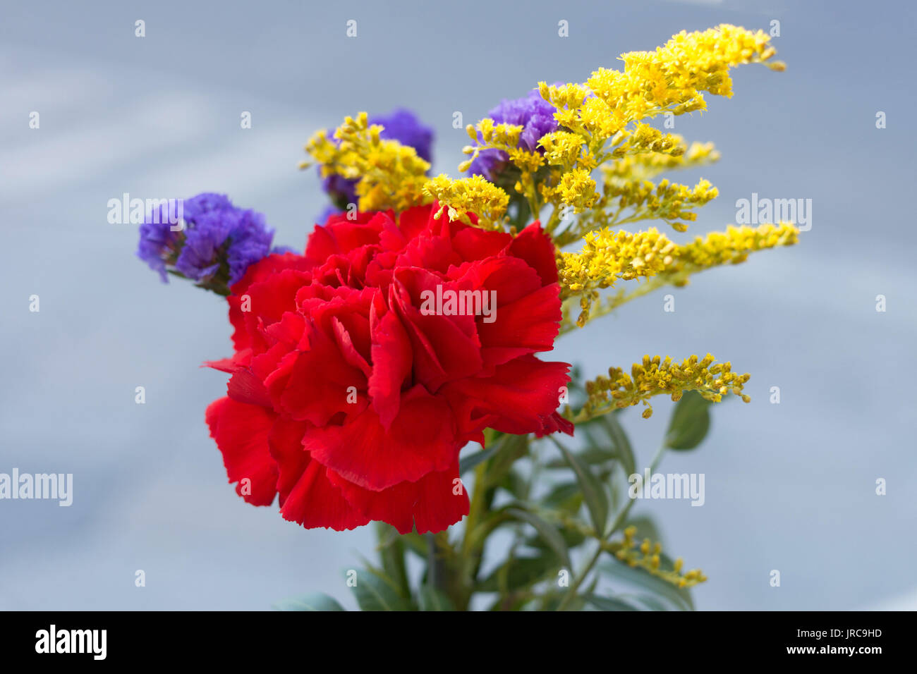 small flower bouquet Stock Photo - Alamy