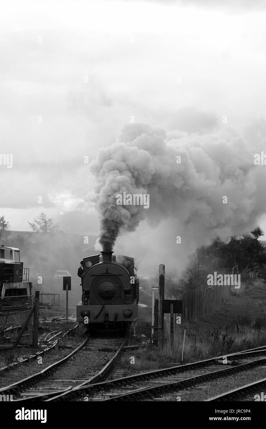 "Sir Gomer" at Furnace Sidings, Pontypool & Blaenavon Railway Stock ...