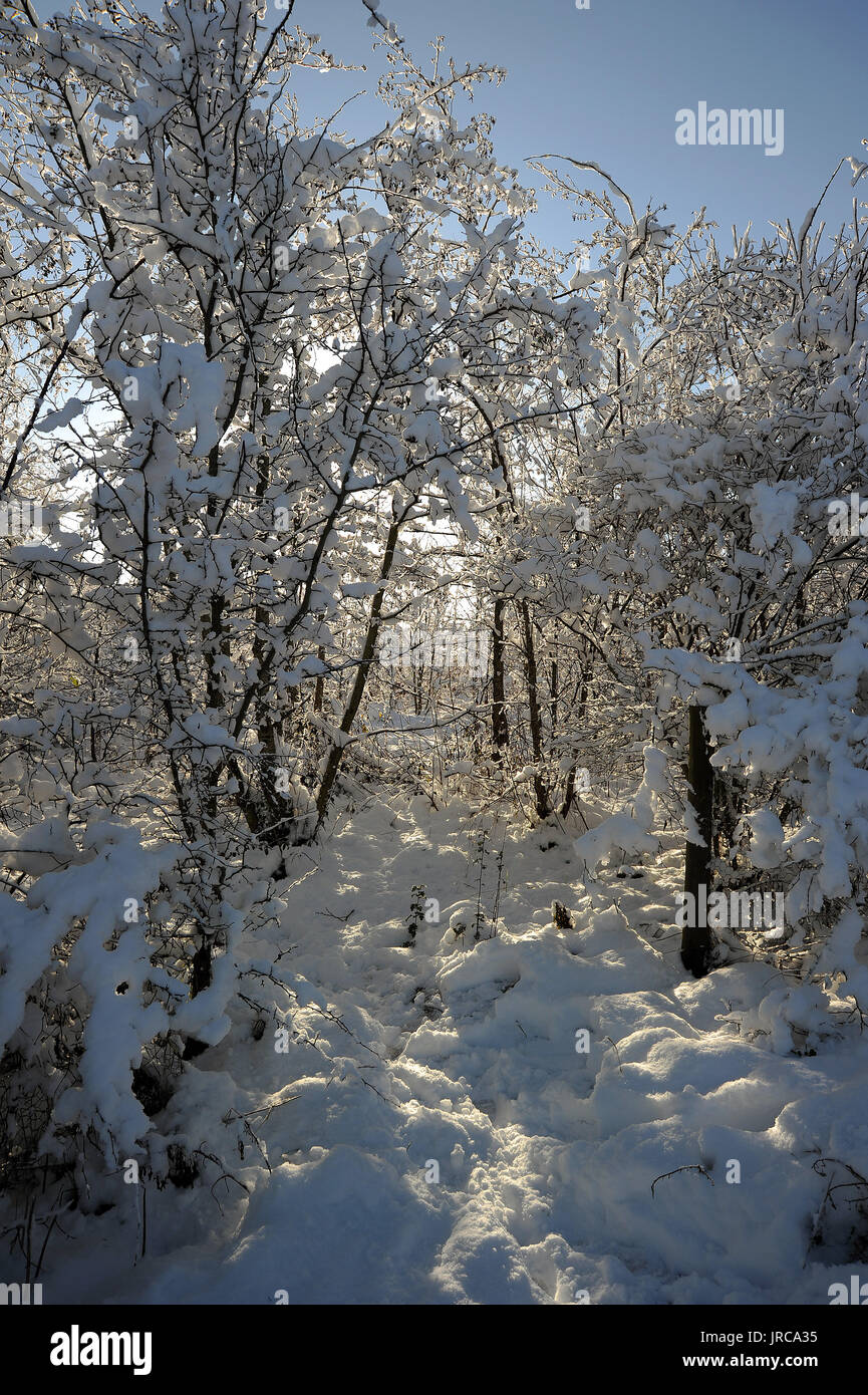 Leckwith hi-res stock photography and images - Alamy