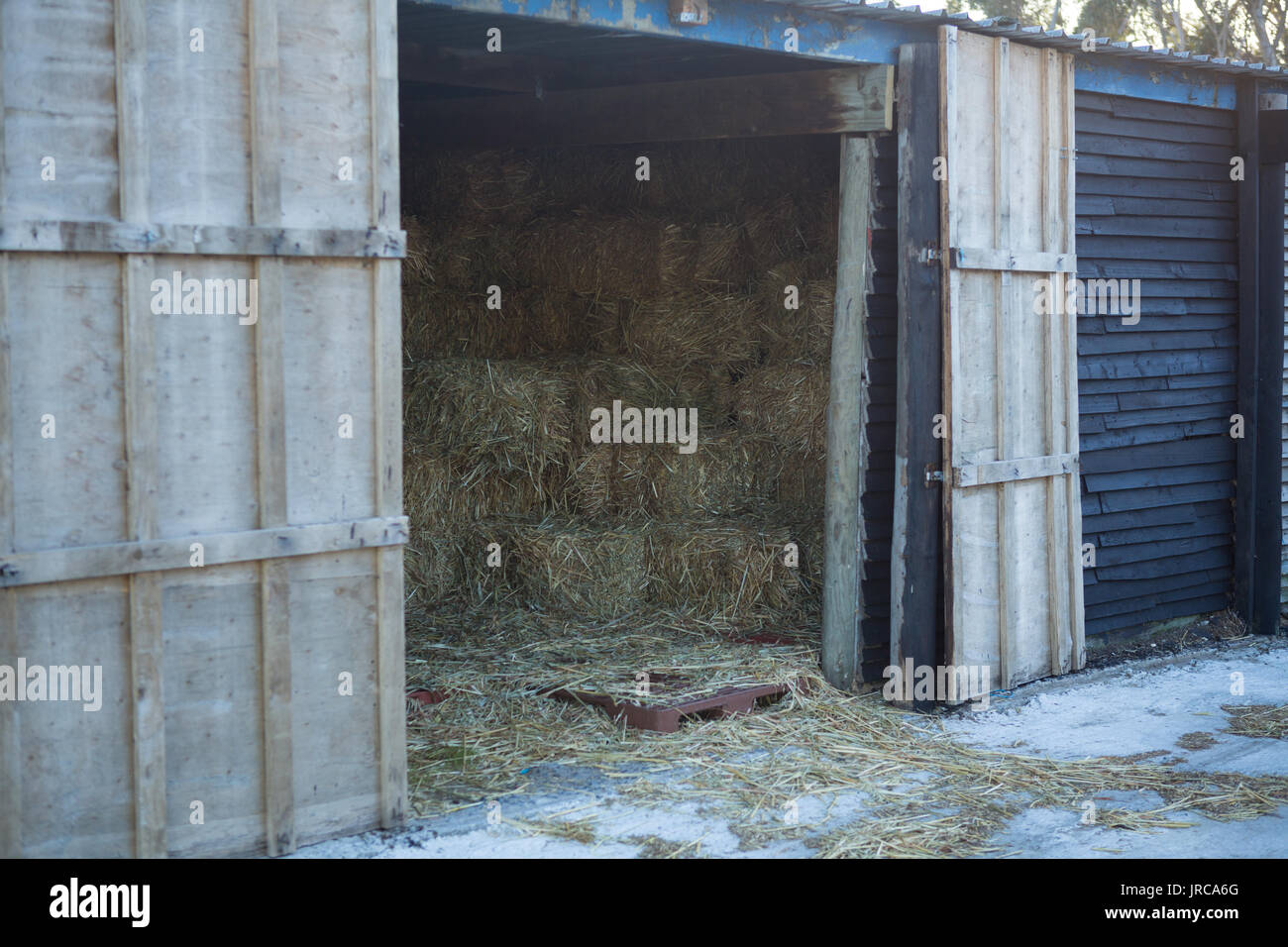 Empty stable hi-res stock photography and images - Alamy