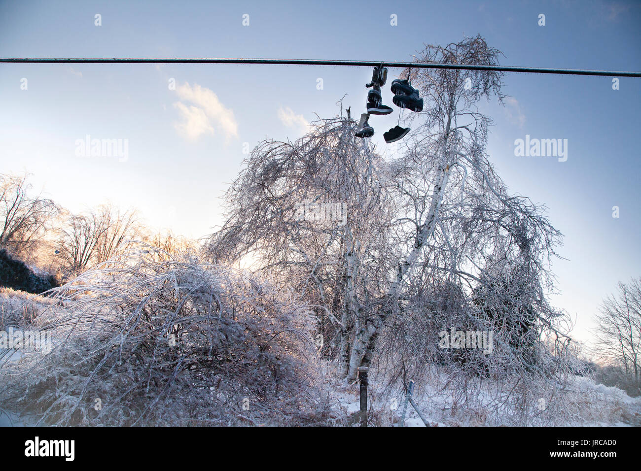 Shoes hanging in tree hi-res stock photography and images - Alamy