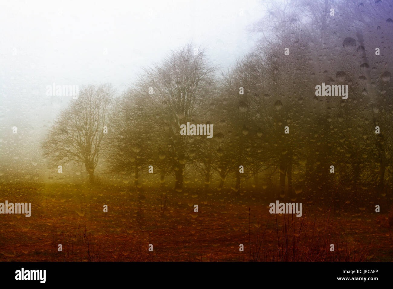 Looking through a misty window with raindrops at trees in the fog Stock ...