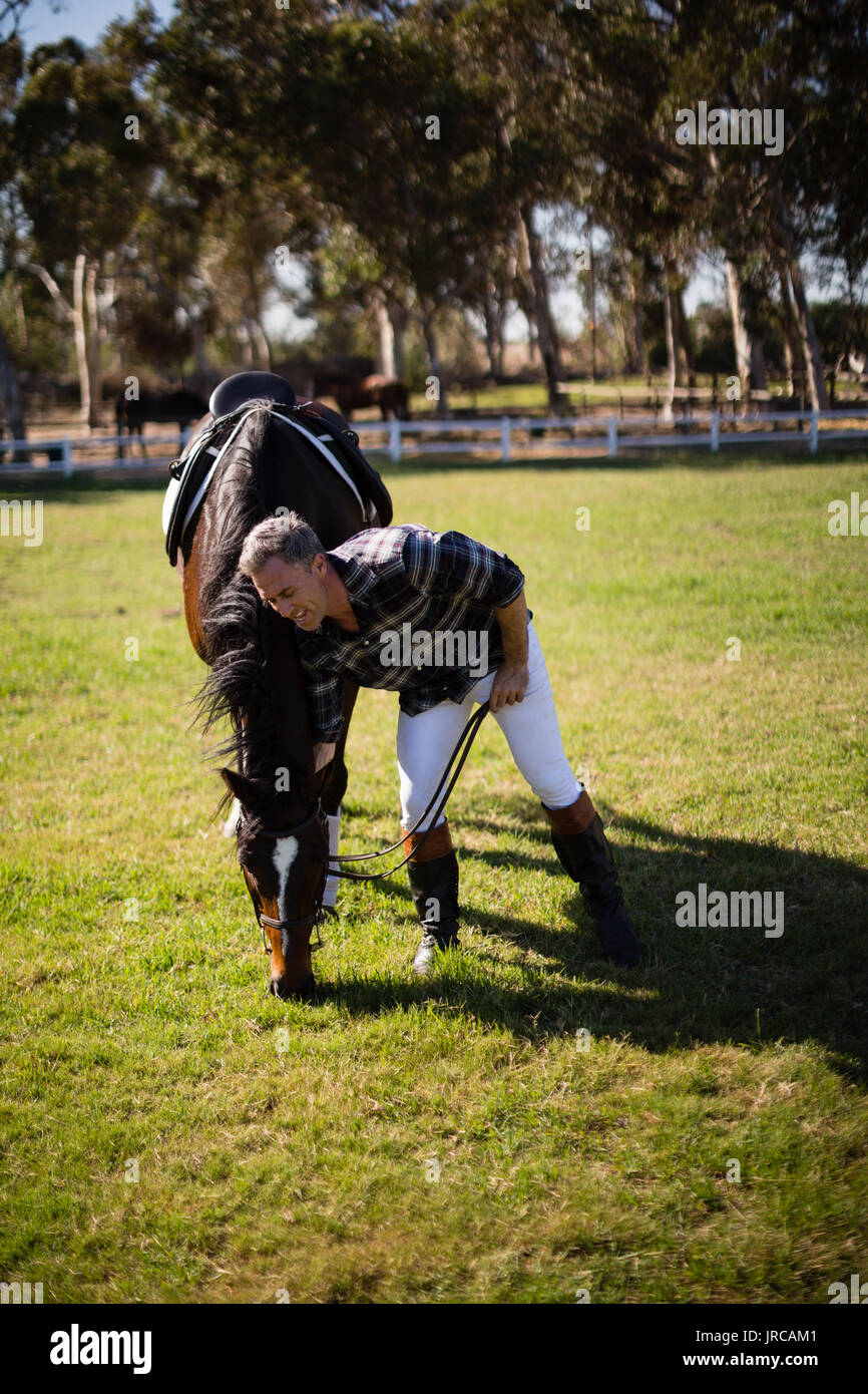 Man holding horse smiling hi-res stock photography and images - Alamy