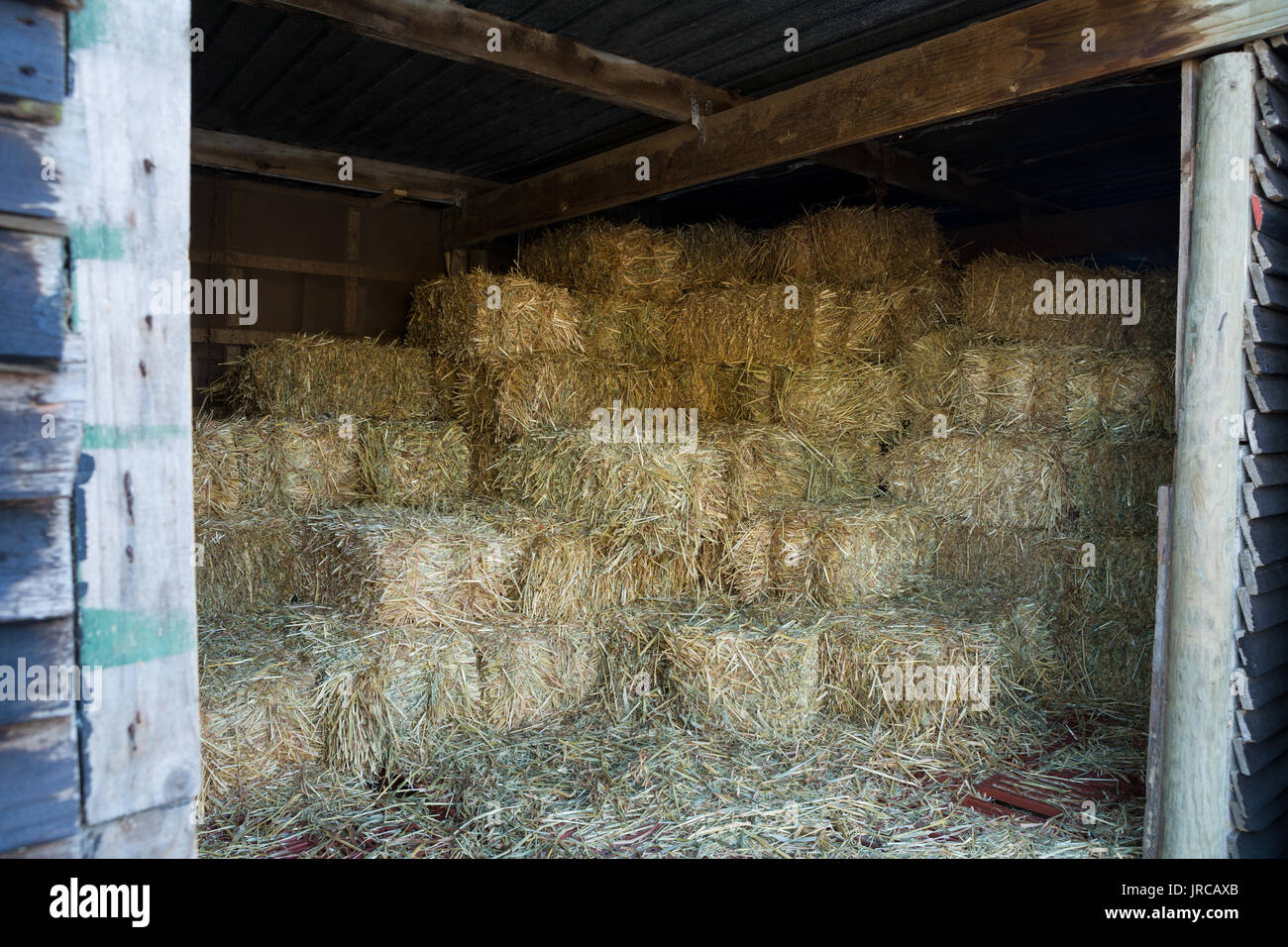 Stack of hay in barn at ranch Stock Photo - Alamy