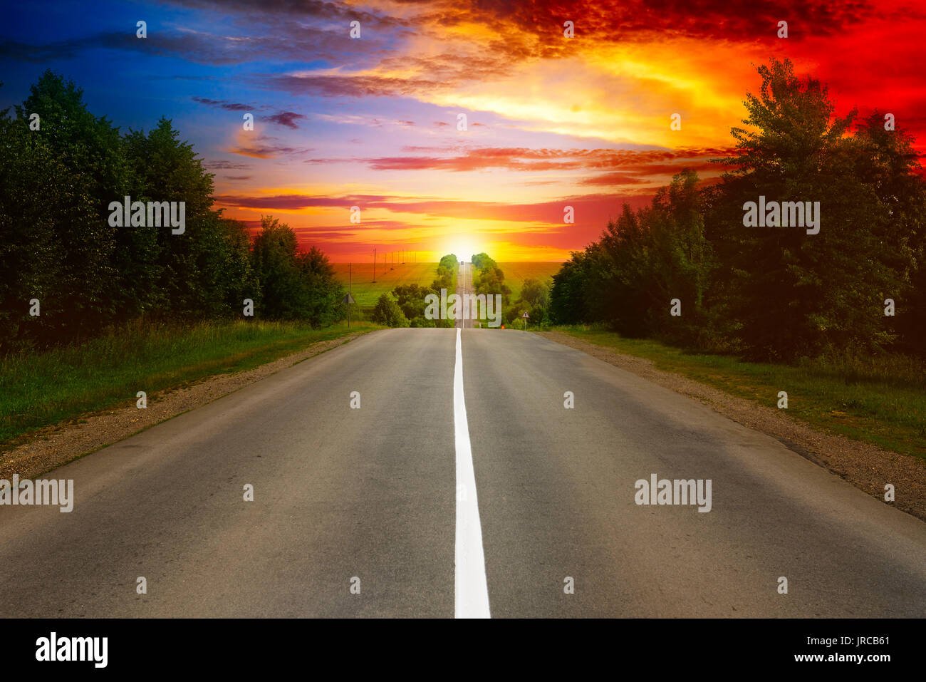 Road between trees hi-res stock photography and images - Alamy