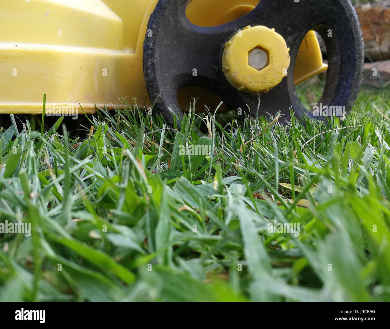 Mower in full action Stock Photo - Alamy