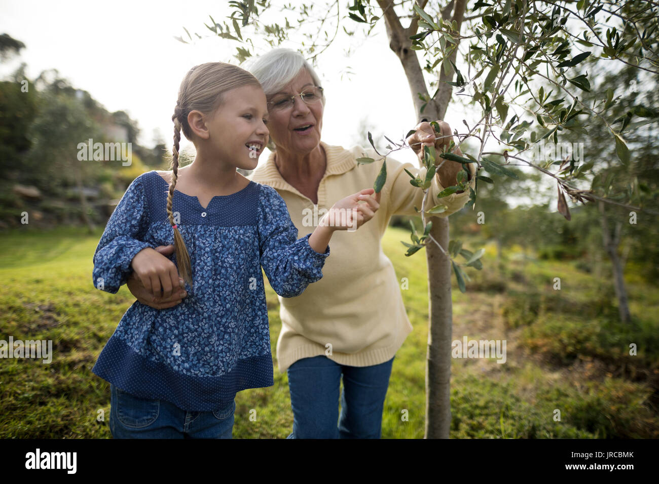 Smiling granddaughter and grandmother touching tree in garden Stock ...