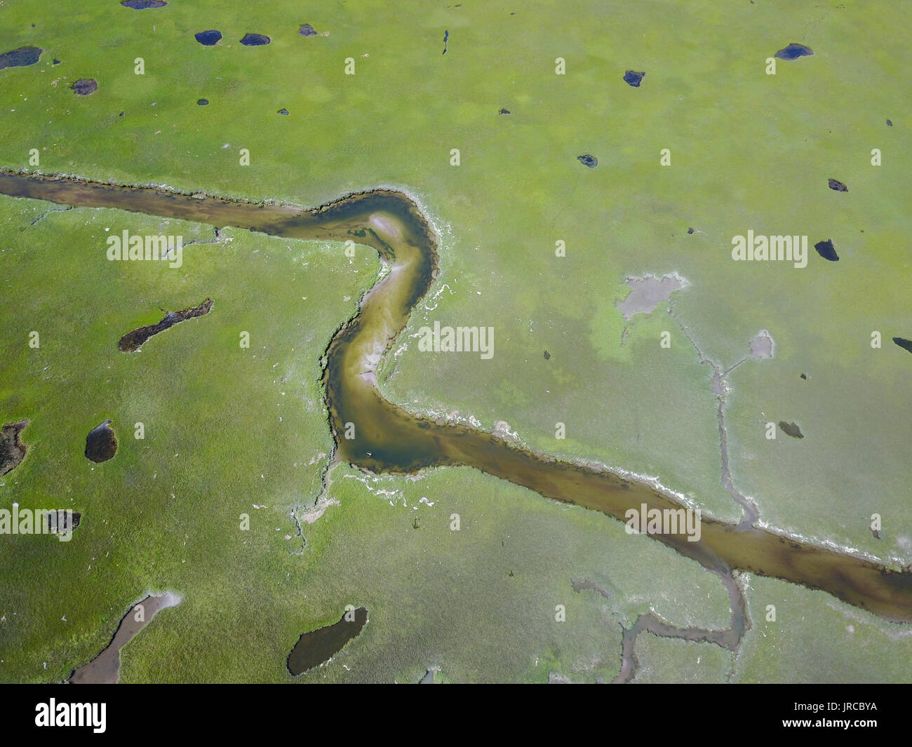 Channels wind through a marsh on Cape Cod, MA. Marshes and wetlands ...