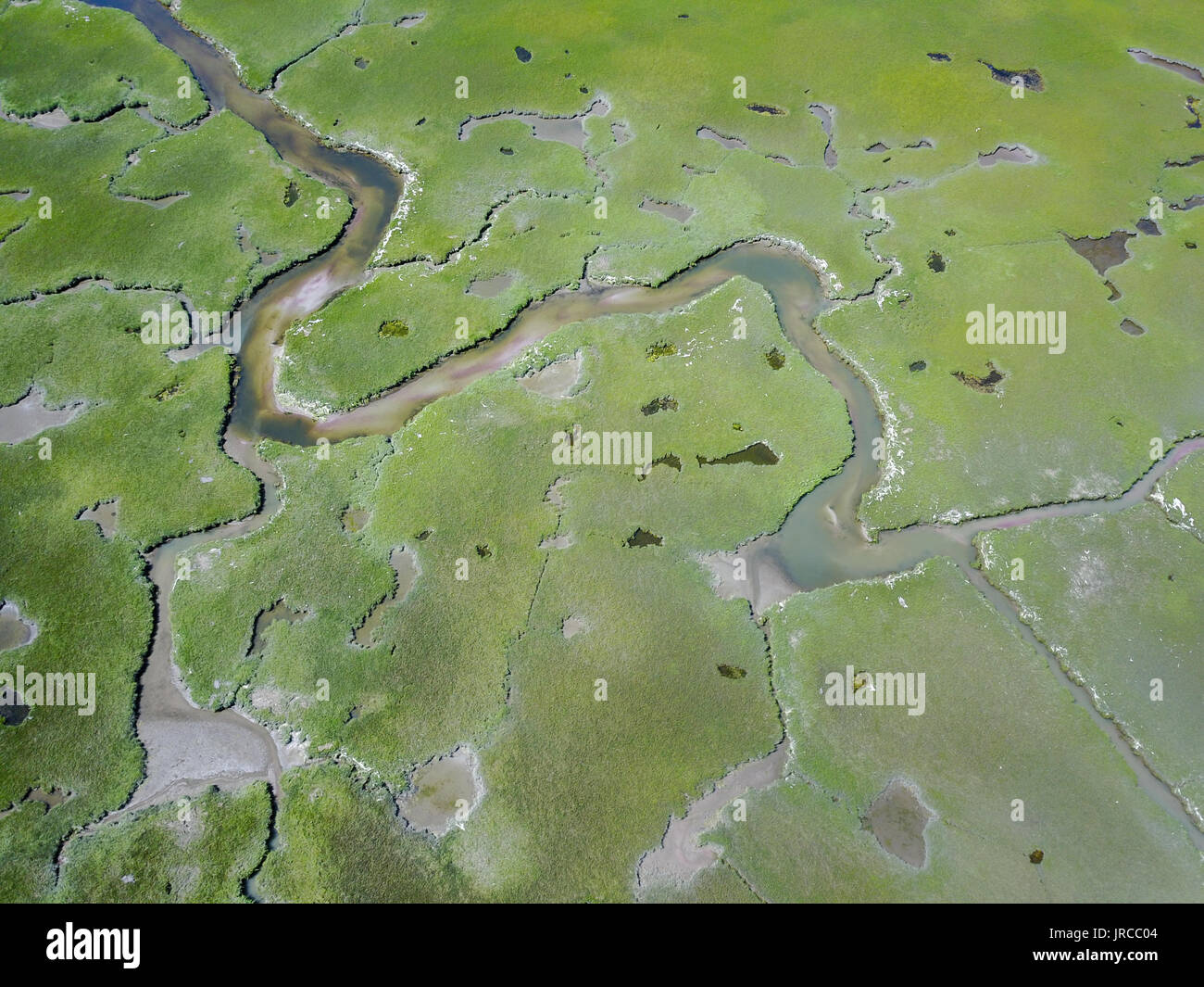 Channels wind through a marsh on Cape Cod, MA. Marshes and wetlands ...