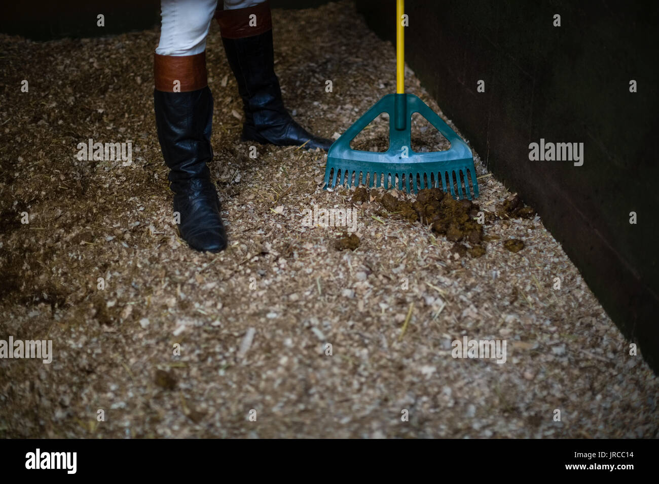 Low-section of man using broom to clean the stable Stock Photo - Alamy