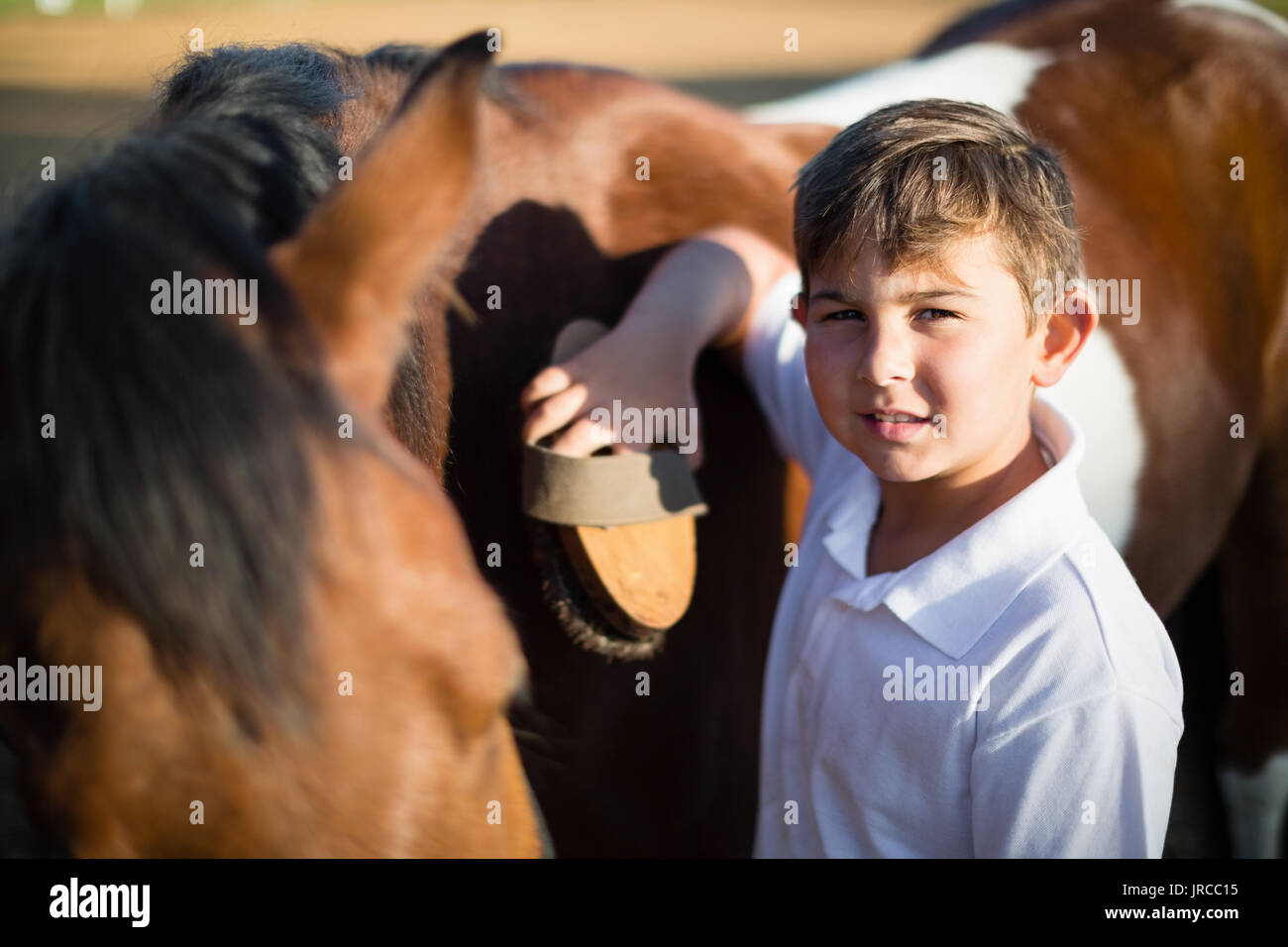 Child Grooming Pony High Resolution Stock Photography and Images - Alamy