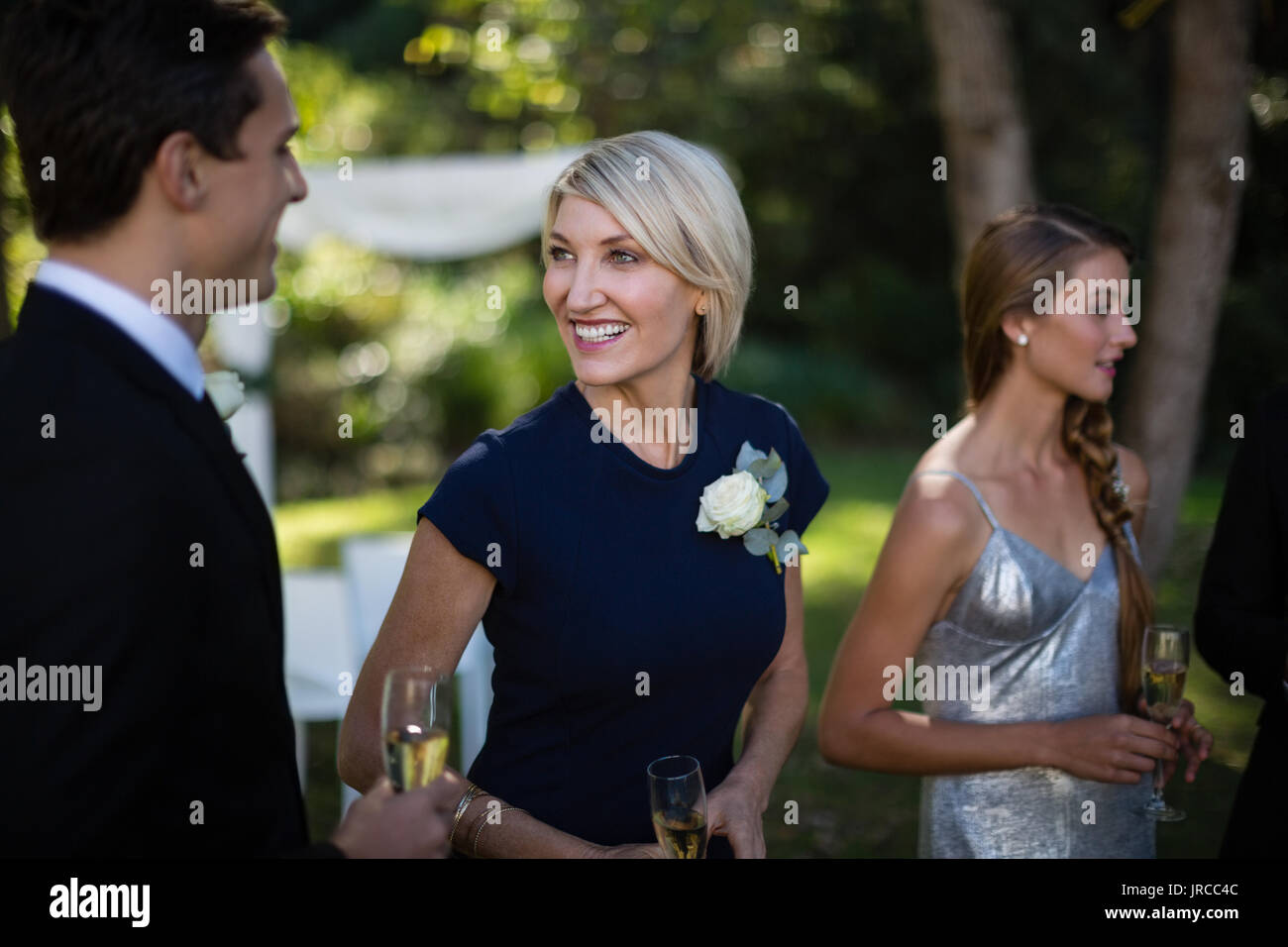 Happy guests having champagne during wedding in park Stock Photo - Alamy