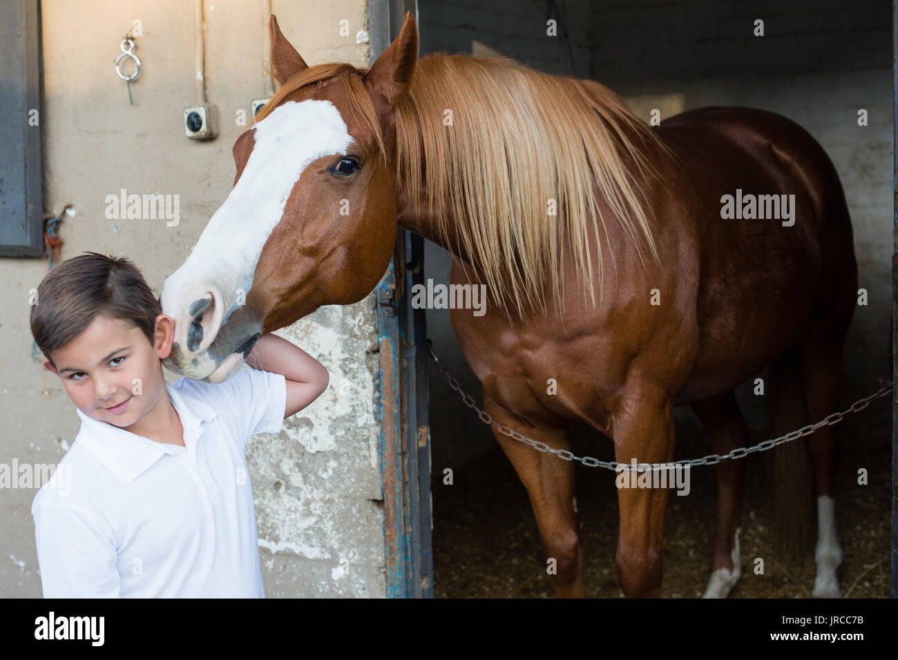 Portrait of rider boy caressing a horse Stock Photo - Alamy