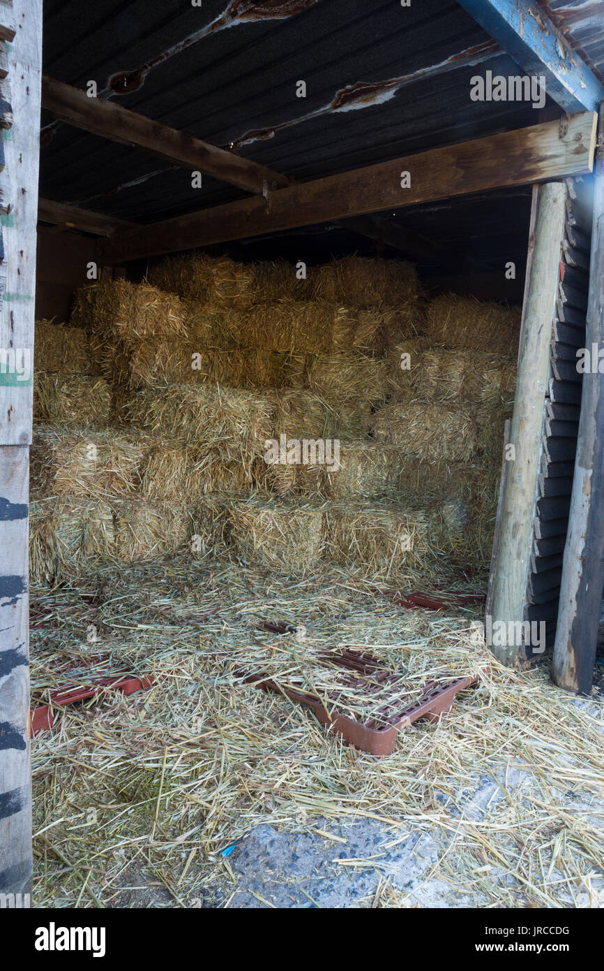 Stack barn hi-res stock photography and images - Alamy