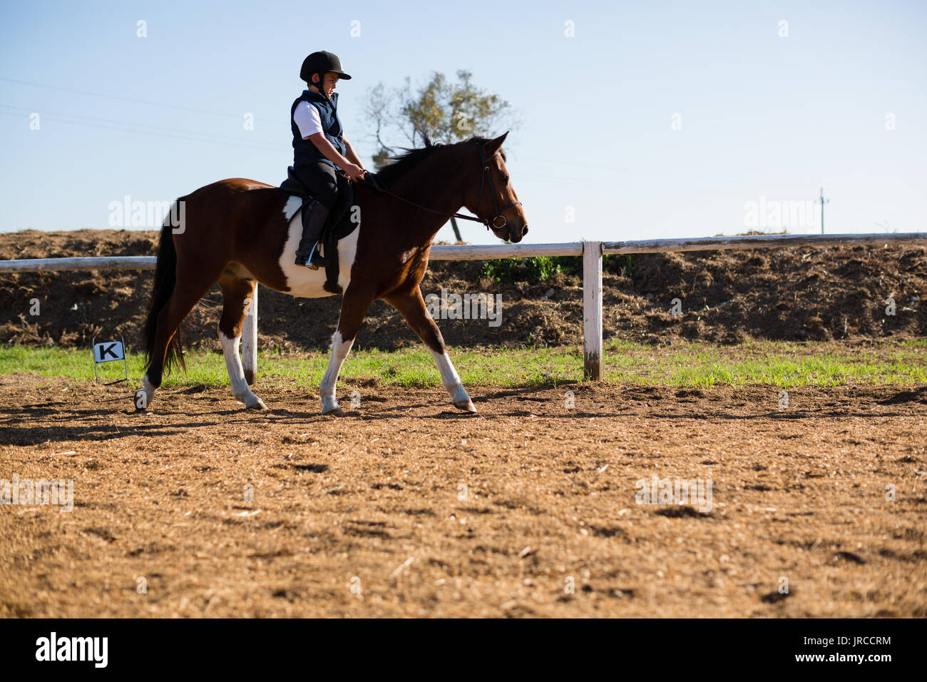 Boy riding a horse in the ranch on a sunny day Stock Photo - Alamy