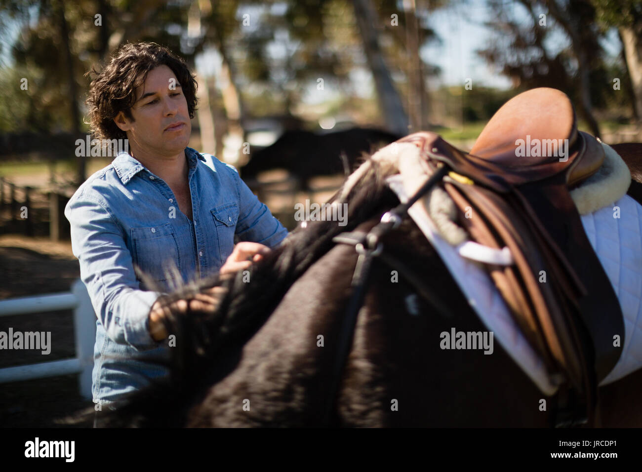 Handsome man on horse hi-res stock photography and images - Alamy
