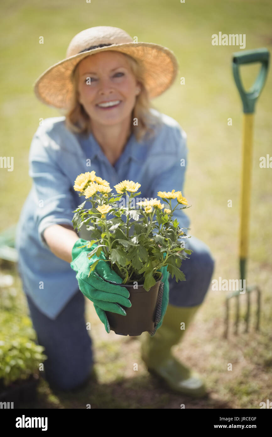 Plant sapling hi-res stock photography and images - Alamy