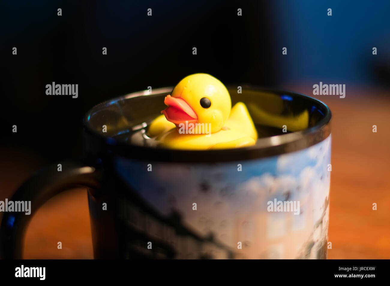A duck floating in a cup of tea Stock Photo - Alamy