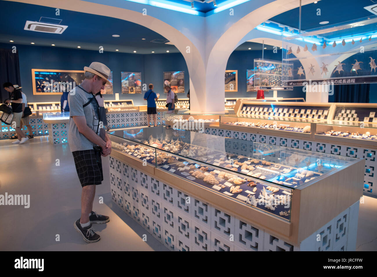 Shell museum at Kouri Ocean Tower, Kori Island, Okinawa, Japan Stock ...