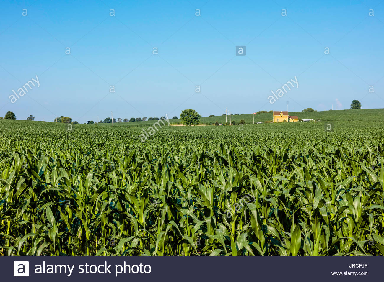 Ontario Canada Landscape House Rural High Resolution Stock Photography ...