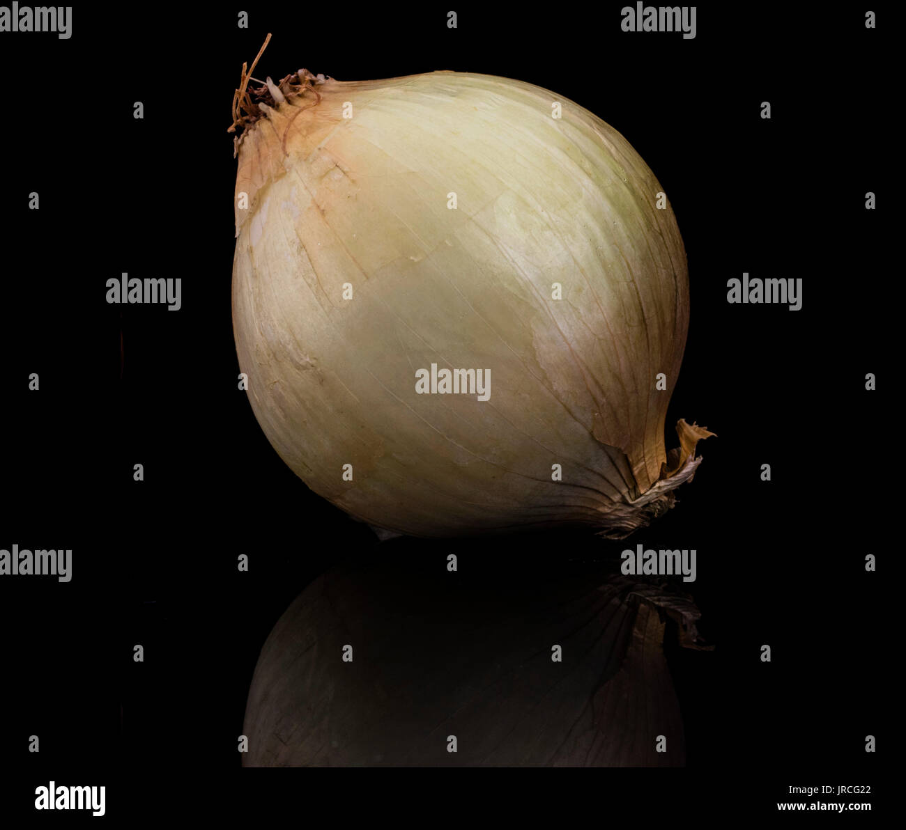 Whole onion on black background reflecting on a glass surface Stock ...