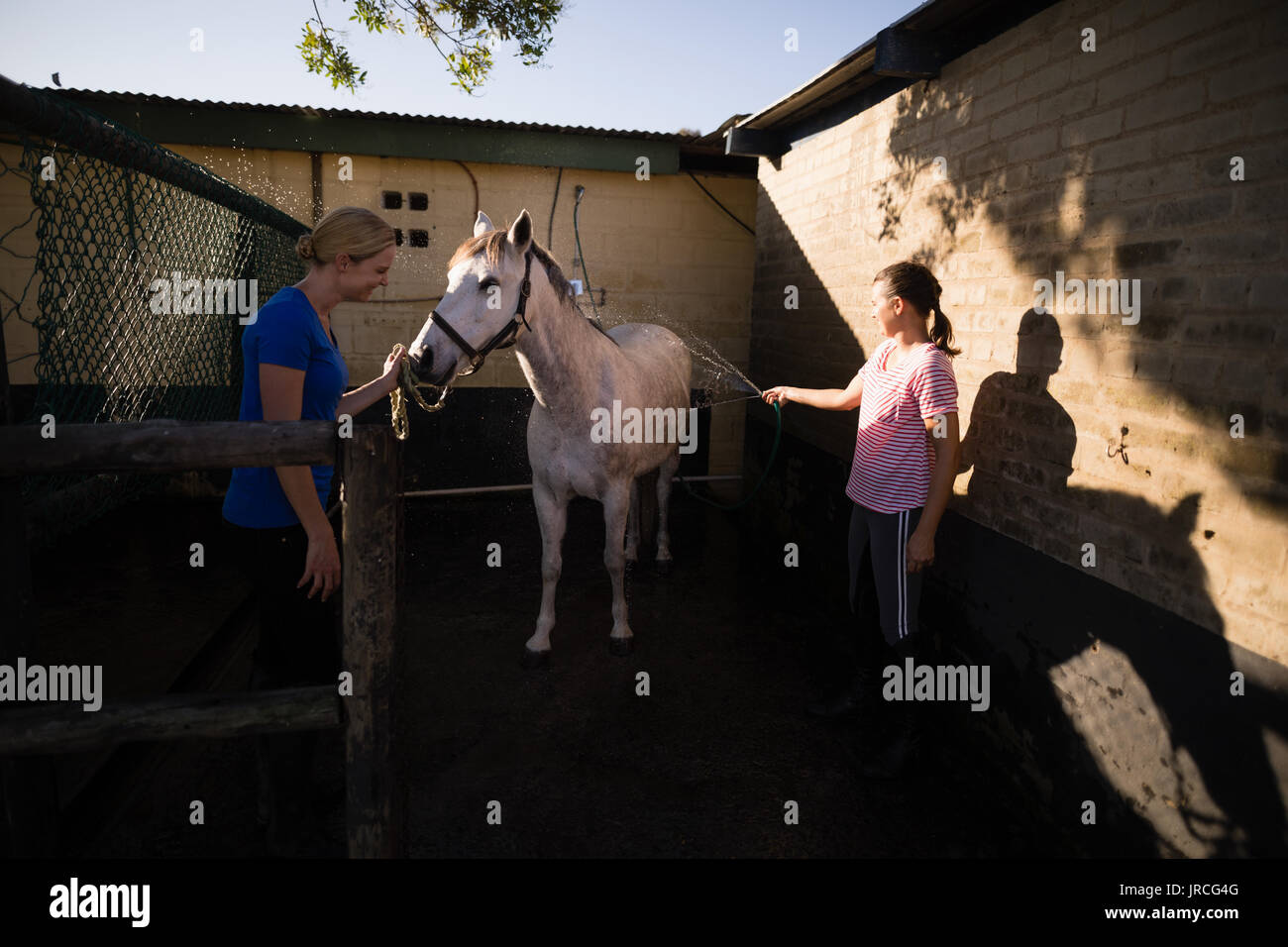 Women washing horse hi-res stock photography and images - Alamy