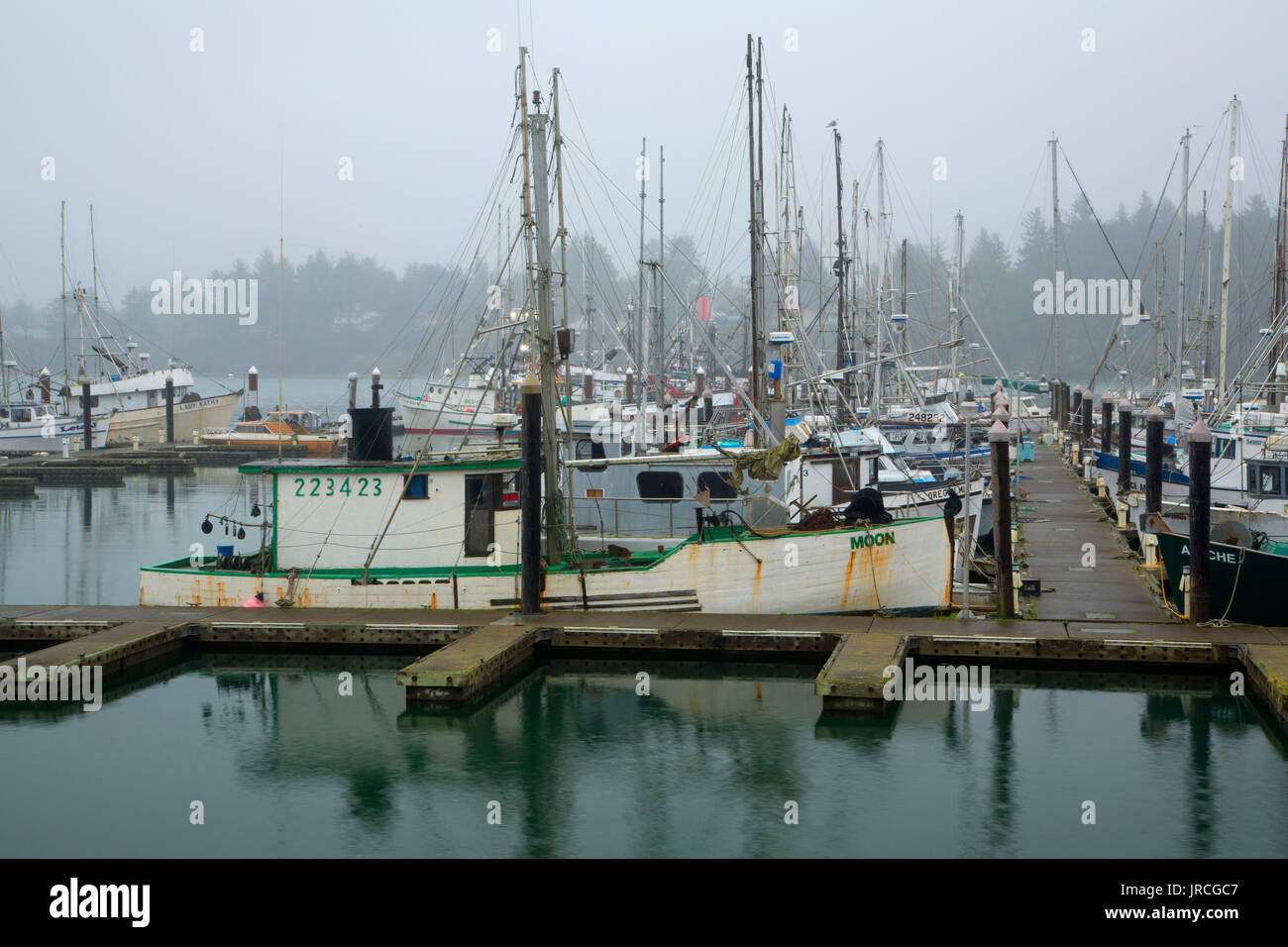 Fishing boats, Charleston Marina, Charleston, Oregon Stock Photo - Alamy