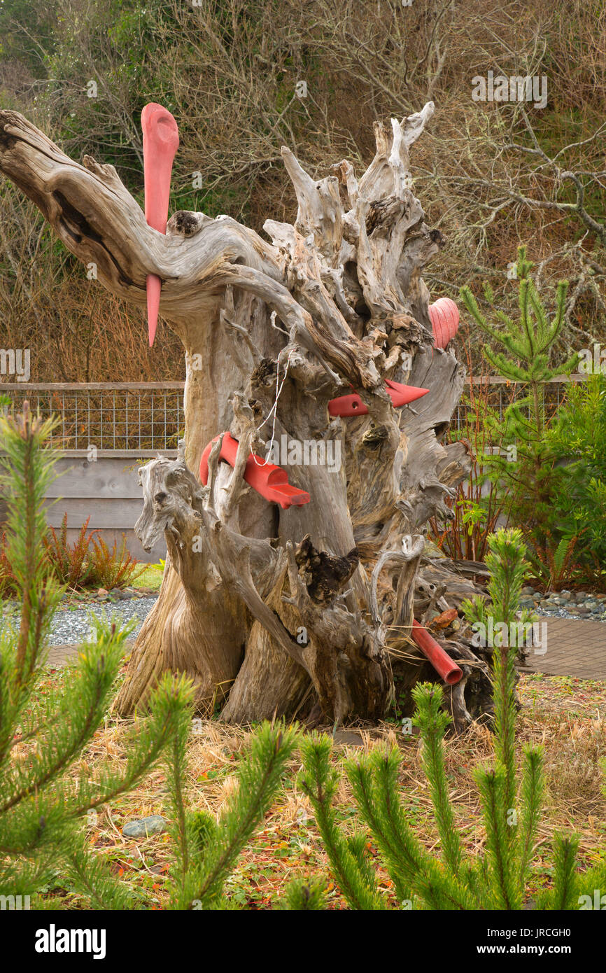 Sculpture root ball, Nasomah Memorial, Bandon, Oregon Stock Photo - Alamy