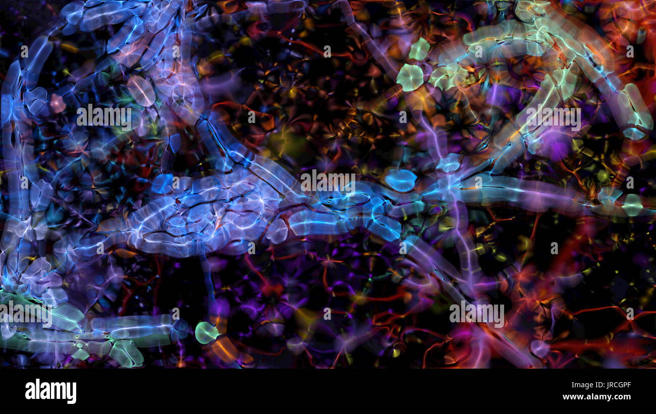 Microorganism cells microscopic organisms hi-res stock photography and ...