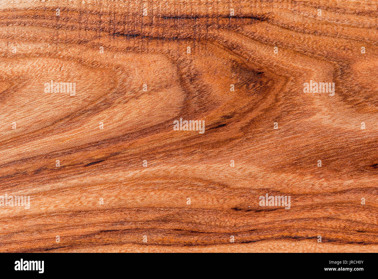 Old elm top hi-res stock photography and images - Alamy