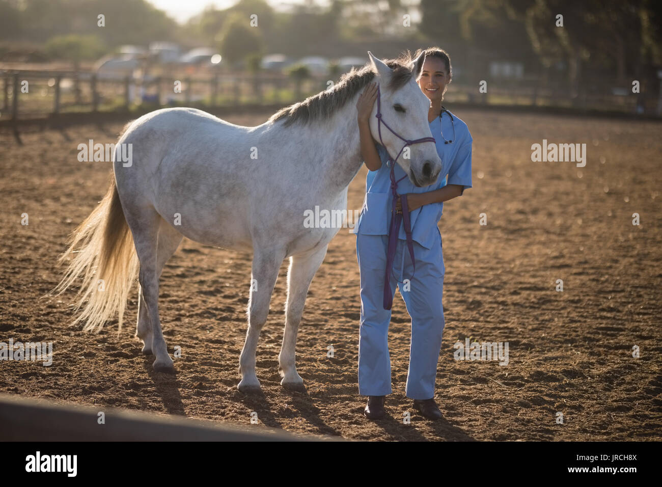 Full length portrait of vet standing by horse at paddock Stock Photo ...