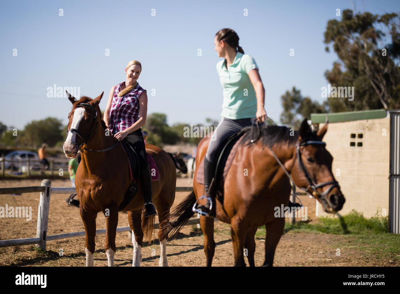 Female friends talking while sitting on horse at paddock during sunny ...